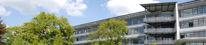 Internationales Management Studium in München | internationales ...