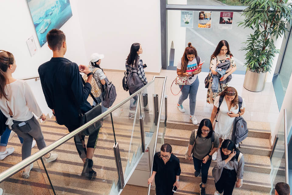 Modul University Vienna | Internationales-Management-studieren.de